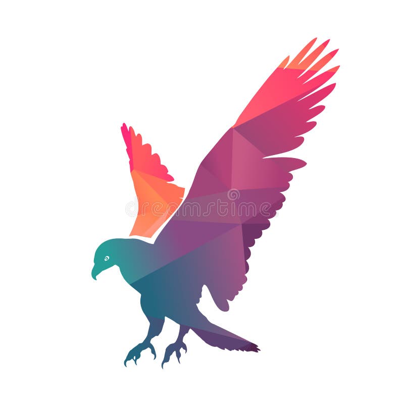 Colorful Eagle stock vector. Illustration of eagle, wild - 57754832