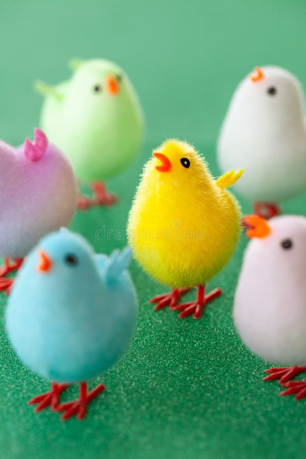 Colorful easter chicks stock image. Image of vertical - 138734709