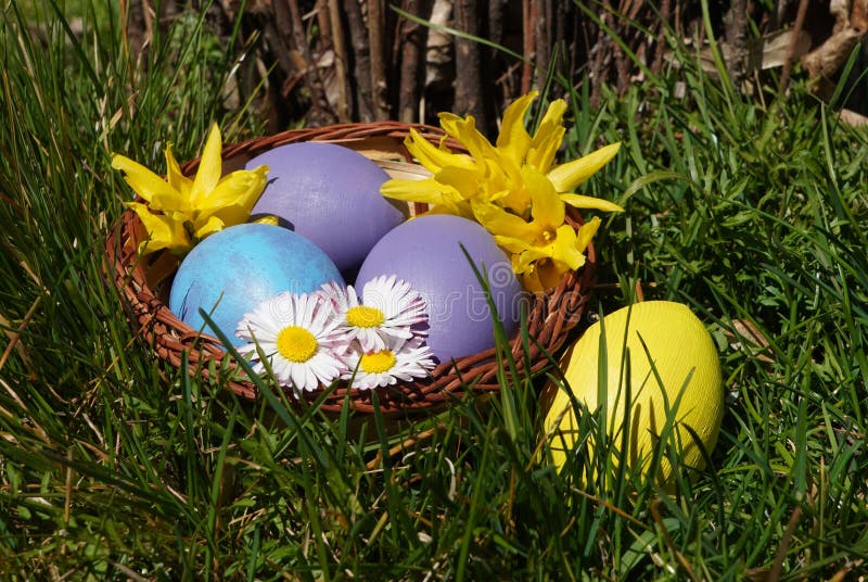 Colorful Easter Decoration with Eggs and Spring Flowers in Basket Stock ...
