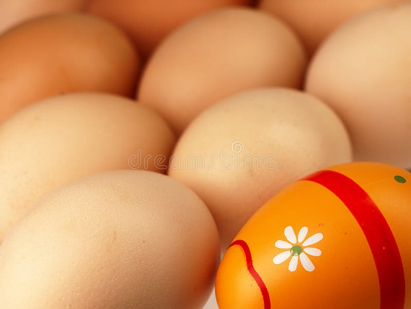Colorful Easter Egg in the Company of Ordinary Eggs. Stock Photo ...