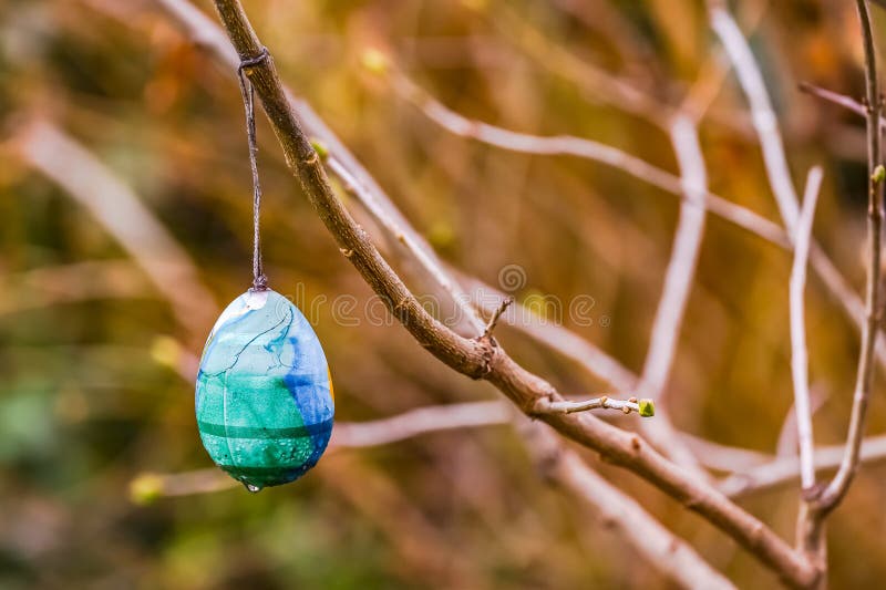 Colorful Easter Egg Forgotten Outside on a Branch in Winter Stock Image ...