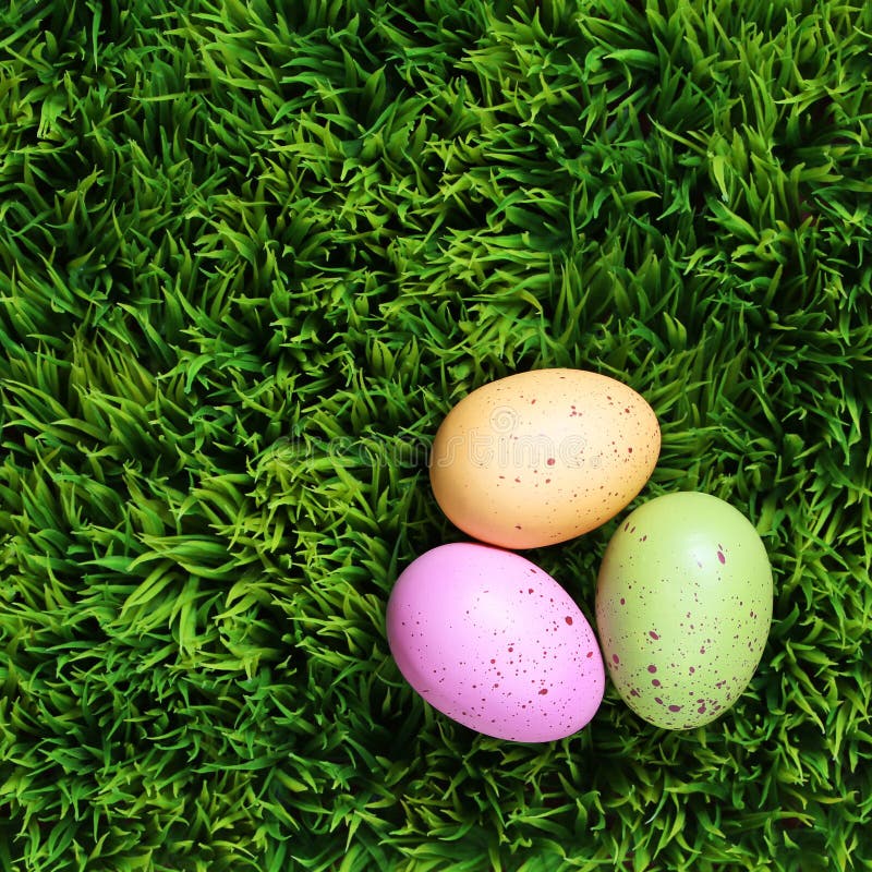 Colorful Easter Eggs and Rabbit on Green Grass Stock Photo - Image of ...