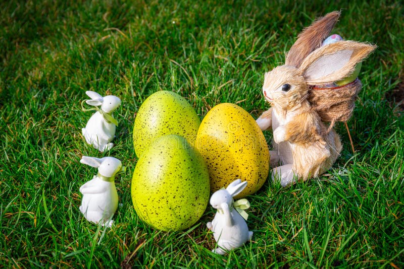 Colorful Easter Eggs and a Bunny in the Grass of the Garden Stock Photo ...