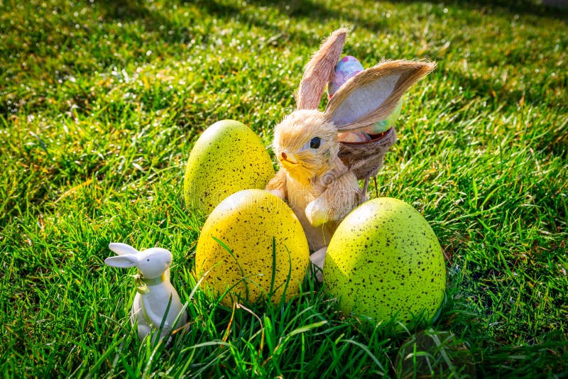 Rabbit in the garden stock image. Image of nature, gray - 26929867