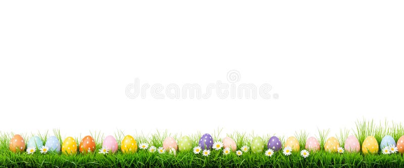 Colorful Easter Eggs with Daisies in Green Grass for Spring Celebration ...