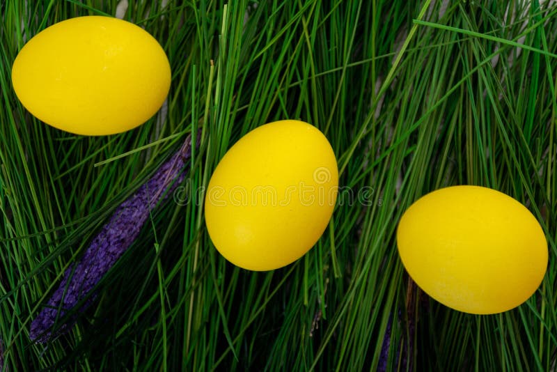 Easter eggs on fake grass stock photo. Image of decoration - 142826698