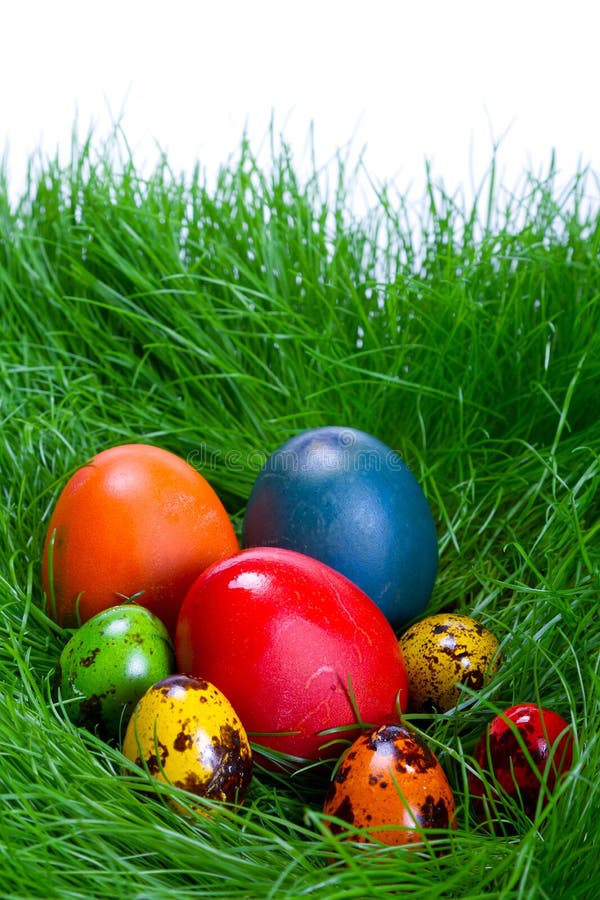 Colorful Easter Eggs in the Grass Stock Photo - Image of march, orange ...