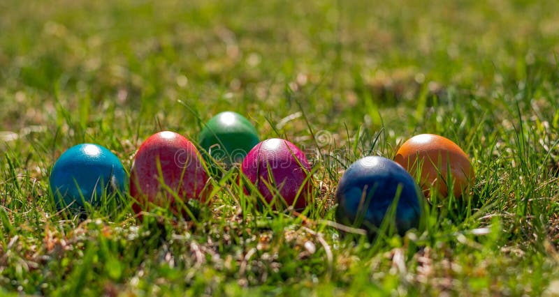Colorful Easter Eggs in the Grass Stock Photo - Image of traditional ...