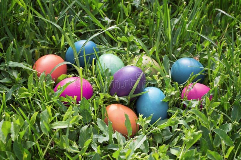 Colorful Easter Eggs in Green Grass. Stock Image - Image of fresh ...