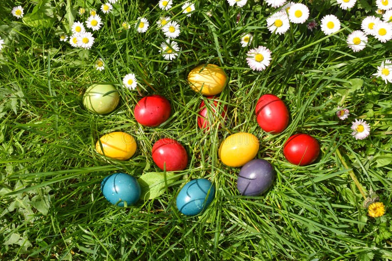 Colorful Easter Eggs in the Green Grass with White Spring Flowers Stock ...