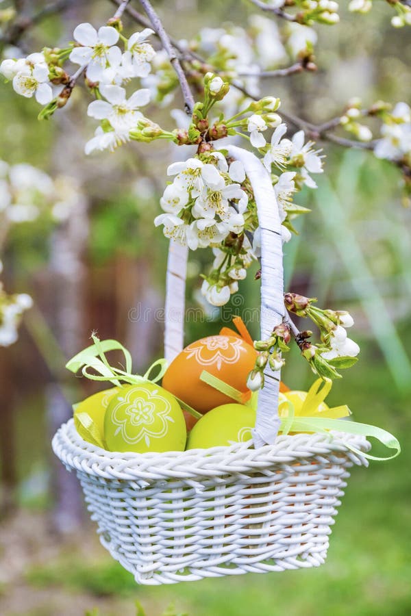 Easter Eggs Hanging on a Cherry Blooming Tree Stock Photo - Image of ...
