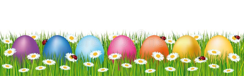 Colorful Easter Eggs Hidden in a Field. Spring Banner with Daisies and ...