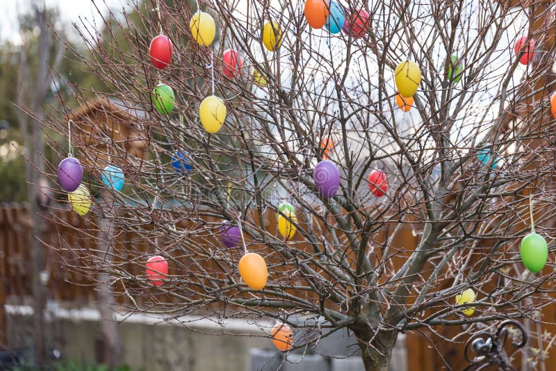 Colorful Easter Eggs on a Tree Stock Photo - Image of colourful ...