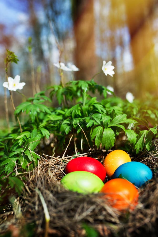 5,686 Easter Scenery Photos - Free & Royalty-Free Stock Photos from ...