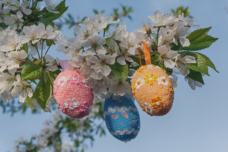 Colorful Eggs and Cherry Blossoms Stock Photo - Image of easter, branch ...
