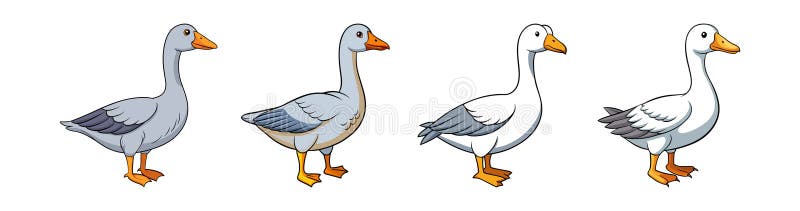 Colorful Emperor Goose Artwork Stock Vector - Illustration of plumage ...