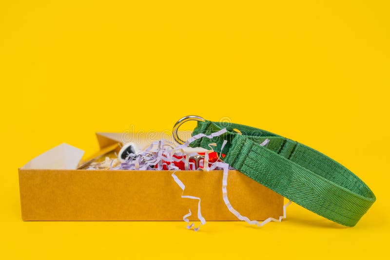 Colorful Fabric Collars for Pets in an Open Cardboard Box, Front View ...