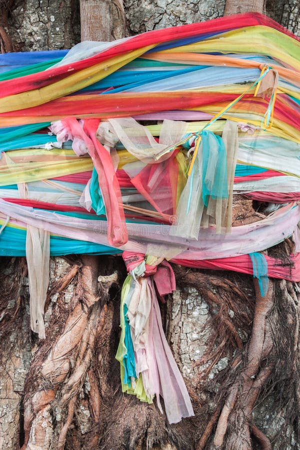 Colorful Fabric on Tree, Thailand Stock Image - Image of faith, forest ...
