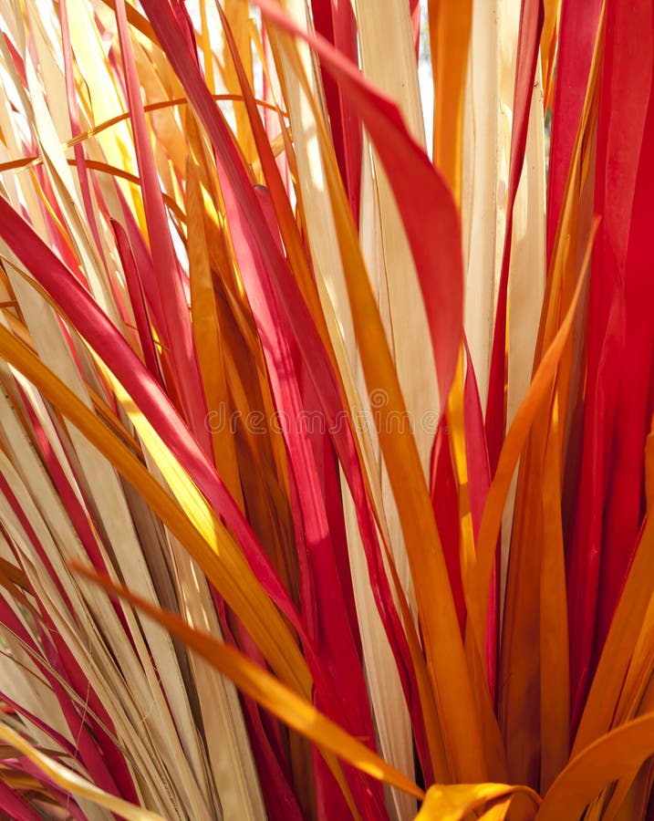 Colorful fake leaf stock image. Image of white, foliage - 29255471