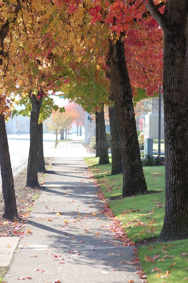 Colorful Fall Picture. Image: 1436591