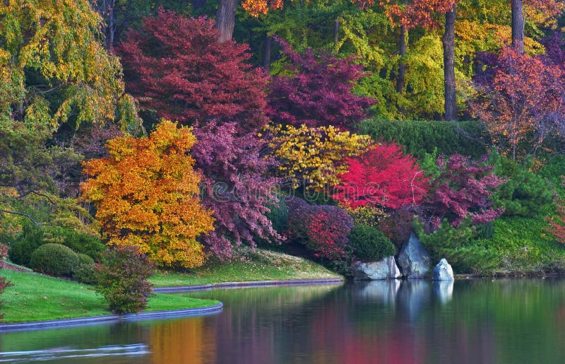 Colorful Fall stock photo. Image of trees, pond, hillside - 6385416
