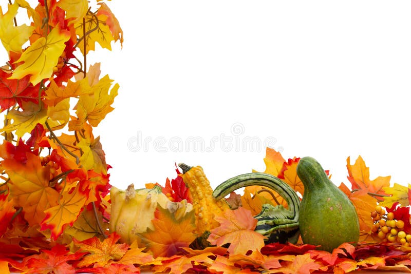 Fall Border stock image. Image of decoration, fall, pumpkin - 6446183
