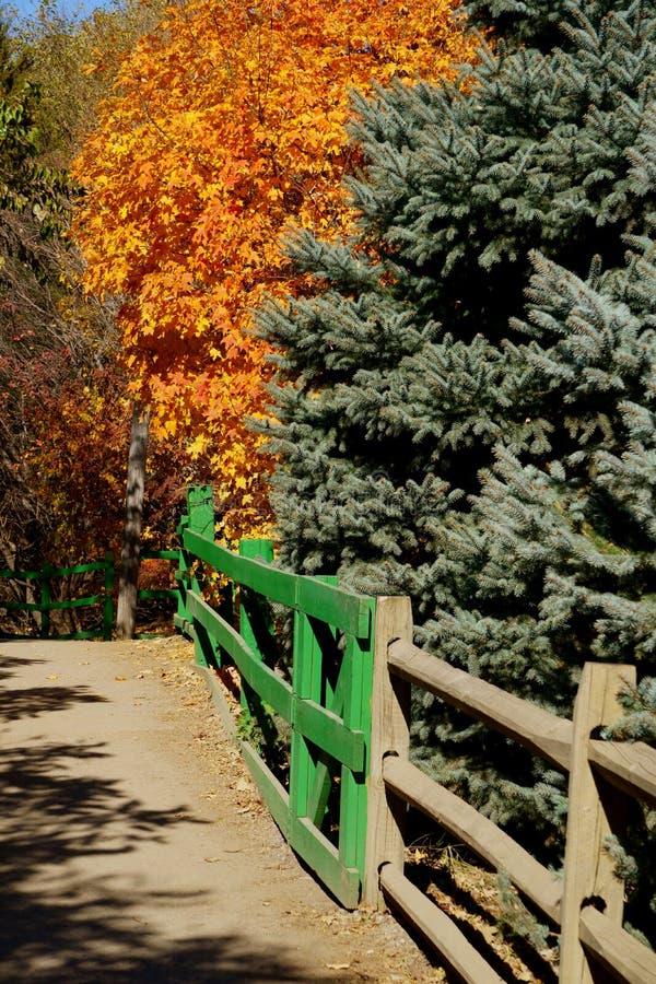 Fall Colors Bring Halloween To Us in the Fall Stock Photo - Image of ...