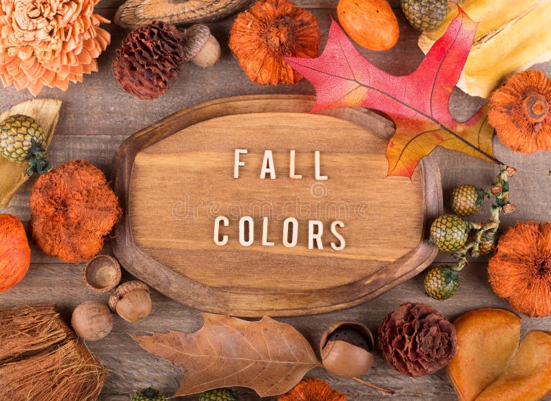 Colorful Fall Colors stock image. Image of natural, wood - 96951995