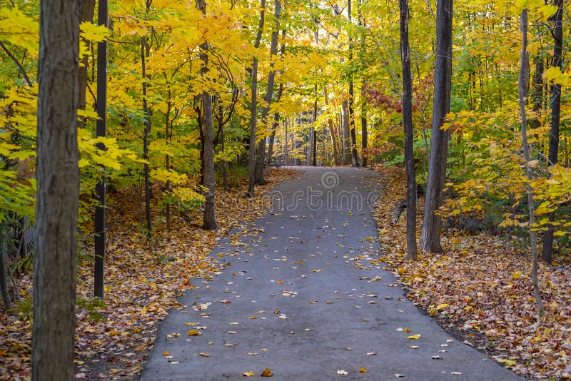 Colorful Fall Foliage Along a Beautiful Path #1 Stock Image - Image of ...