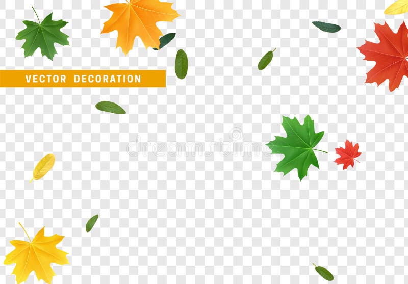 Colorful Fall Foliage. Autumn Leaves Maple and Other Trees Stock Vector ...