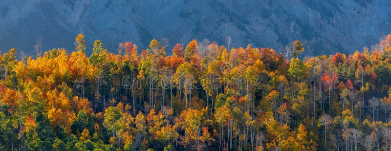 156 Nebo Slope Stock Photos - Free & Royalty-Free Stock Photos from ...