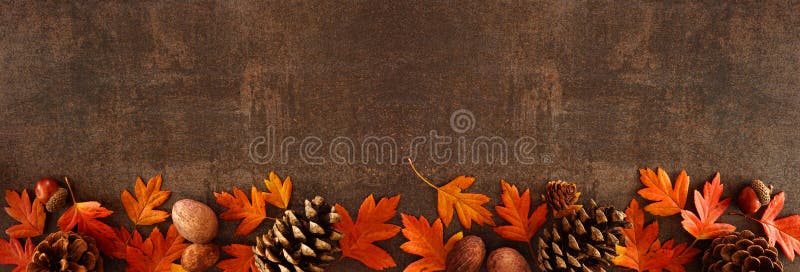 Fall Bottom Border of Pumpkins, Leaves and Natural Autumn Decor on a ...