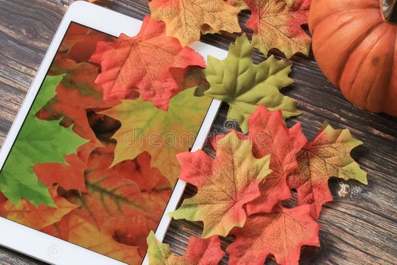 Fall leaves with tablet stock image. Image of leaves - 124387989