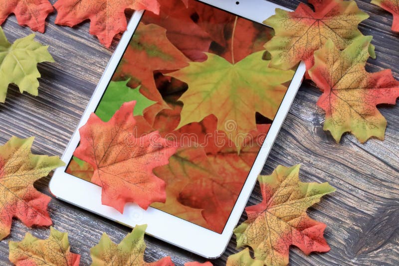 Fall leaves with tablet stock image. Image of tablet - 124388019