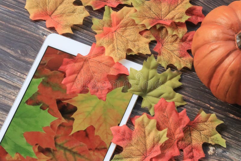 Fall leaves with tablet stock image. Image of wallpaper - 124449079