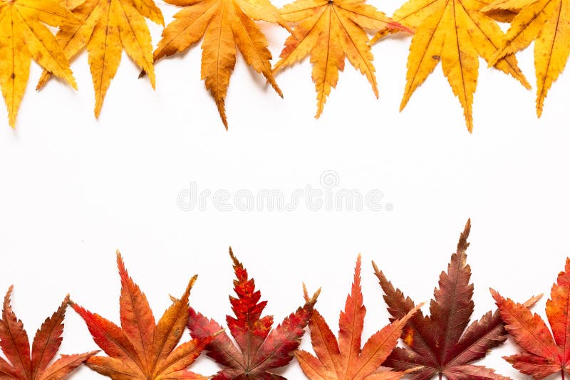 Day Dead Frame Template Stock Photos - Free & Royalty-Free Stock Photos ...