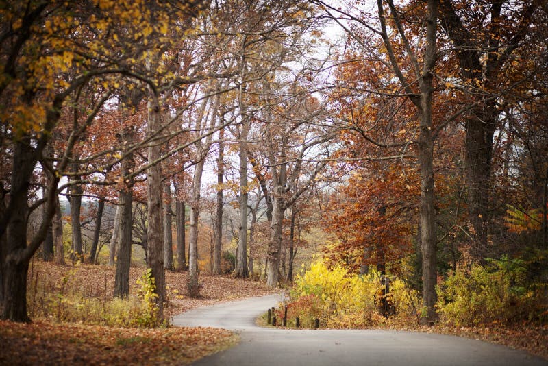 Colorful Fall Paved Path through Woods. Stock Photo - Image of bushes ...