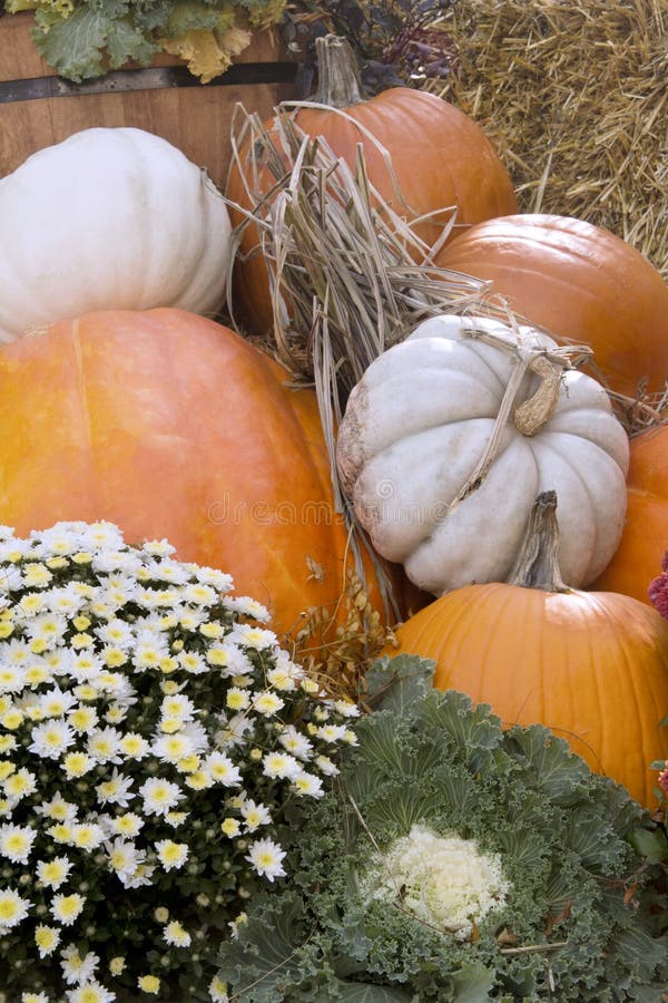 Colorful Fall Pumpkins and Flowers Stock Image - Image of harvested ...