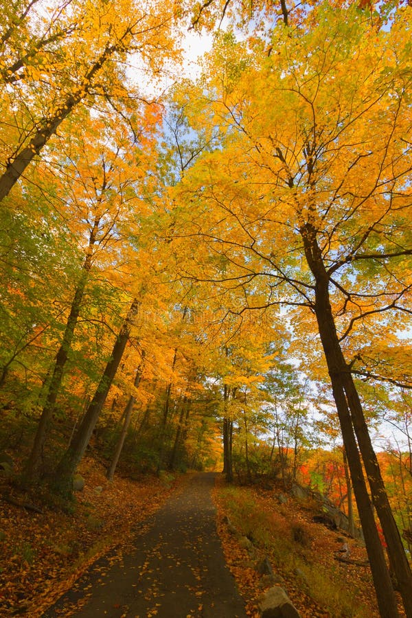 Colorful Fall Scenery Landscapes. Stock Photo - Image of autumnal ...