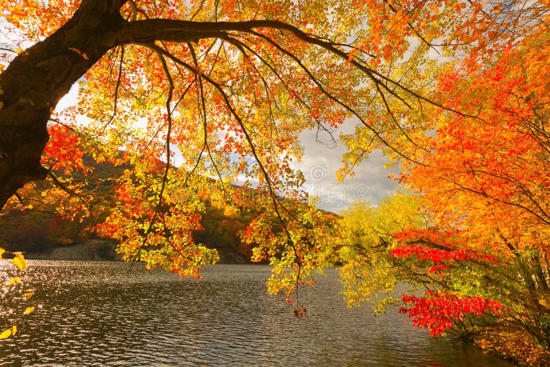 Colorful Fall Scenery Landscapes. Stock Image - Image of seasonal ...