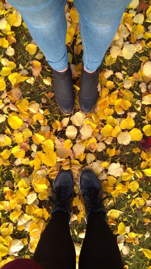 Colorful fall stock image. Image of finally, summer - 123341621