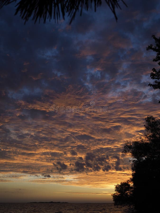 Colorful Fall Sunset stock photo. Image of tree, silhouette - 147538982