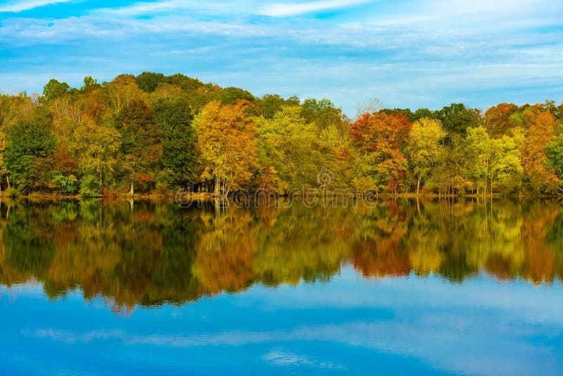 Colorful Fall Trees Reflection Stock Photo - Image of aqua, forest ...