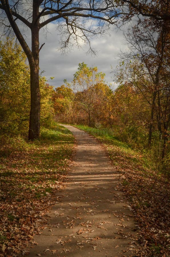 Fall Pathway stock photo. Image of autumn, colorful - 100881882