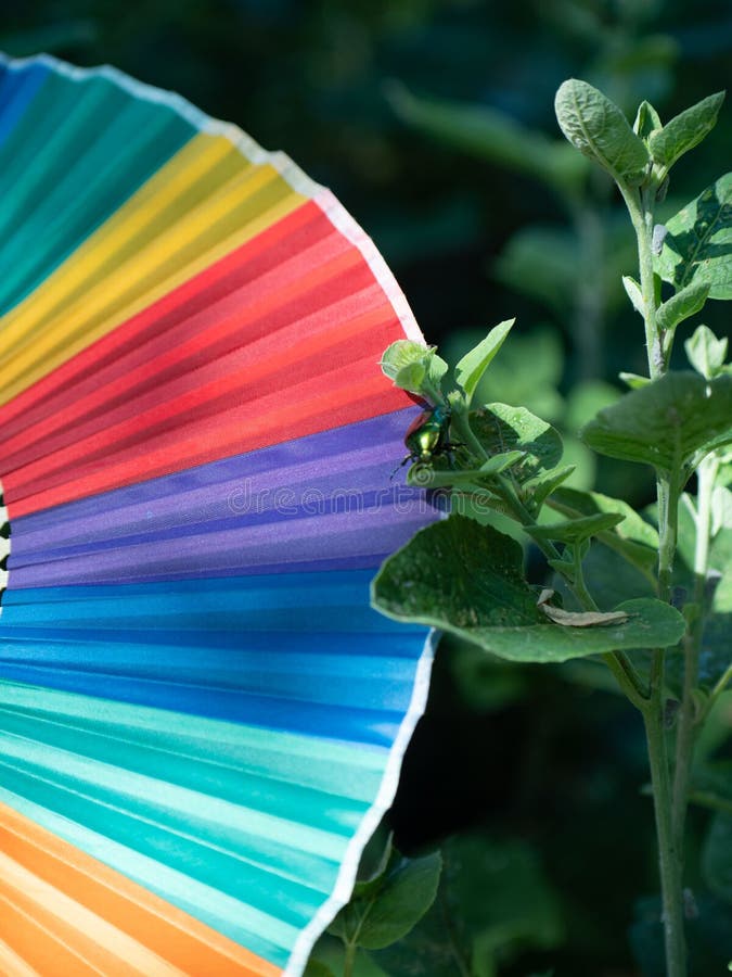 Colorful Fan Next To the Plants. Stock Image - Image of blue, yellow ...