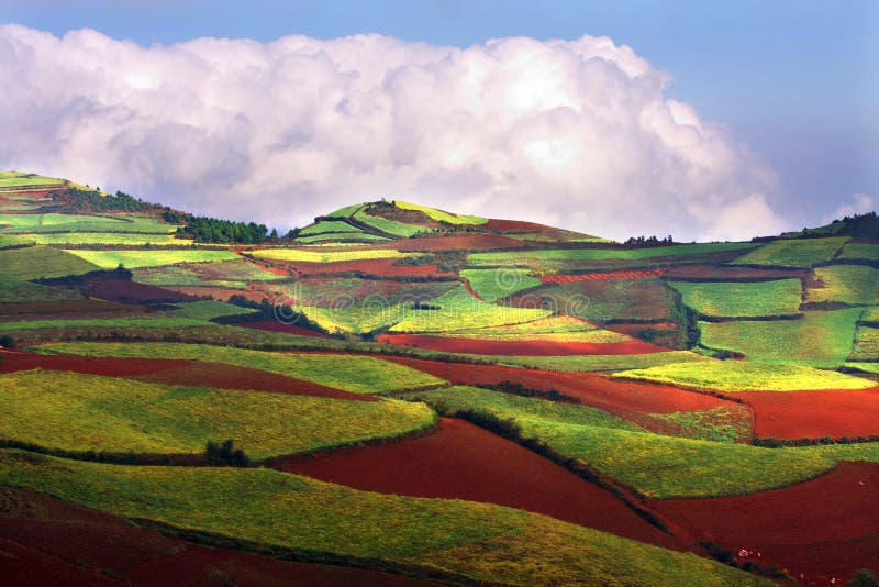 Colorful farm stock photo. Image of draw, canvas, landscape - 9773262