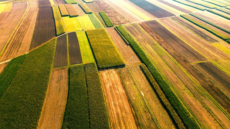 Colorful Farm Fields With Crop. Abstract Patterns. Aerial Drone View ...