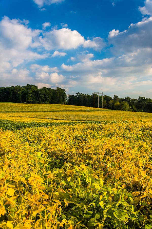 Colorful Farm Buildings stock photo. Image of outdoors - 1390030