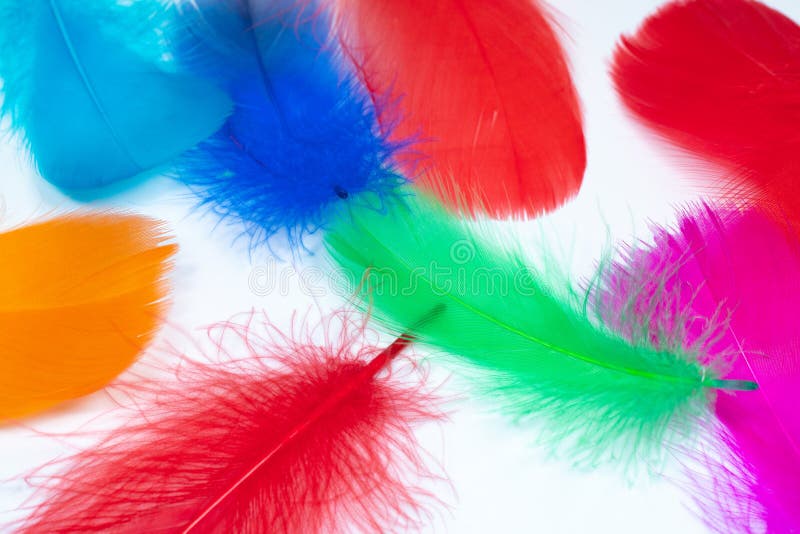 Colorful Feather Background Stock Photo - Image of pile, colours: 121339120