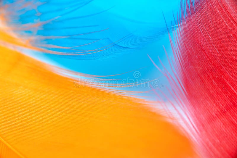 Colorful Feather Background Stock Image - Image of colors, soft: 122042161